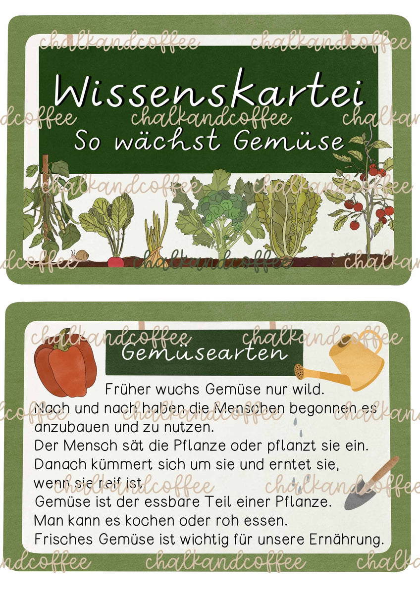So wächst Gemüse - Tafelmaterial und Wissenskartei – Chalk & Coffee
